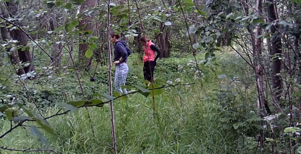 Lots of pissing along the pee trail - The Tree Spy