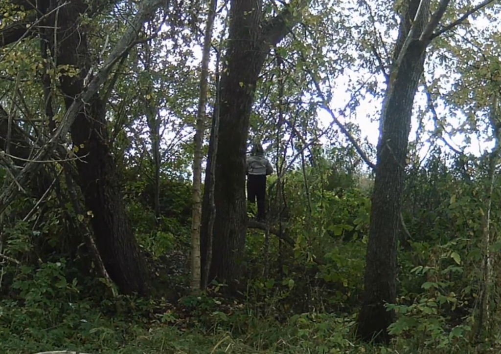 Women coming to do their duty - The Tree Spy