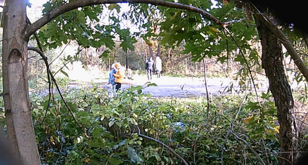 20 minutes of lurking around the lot - The Tree Spy