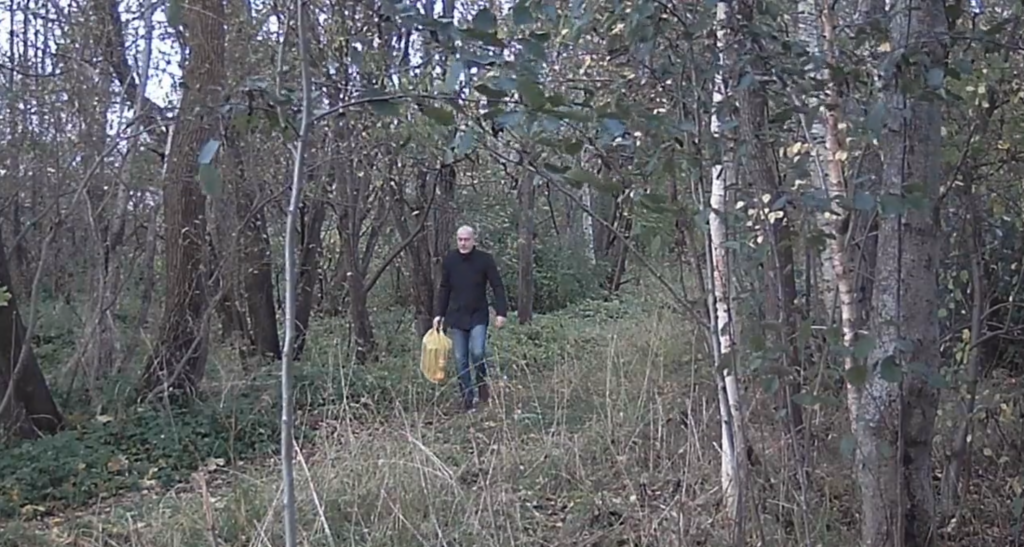 Smoking, drinking and wizzing - The Tree Spy