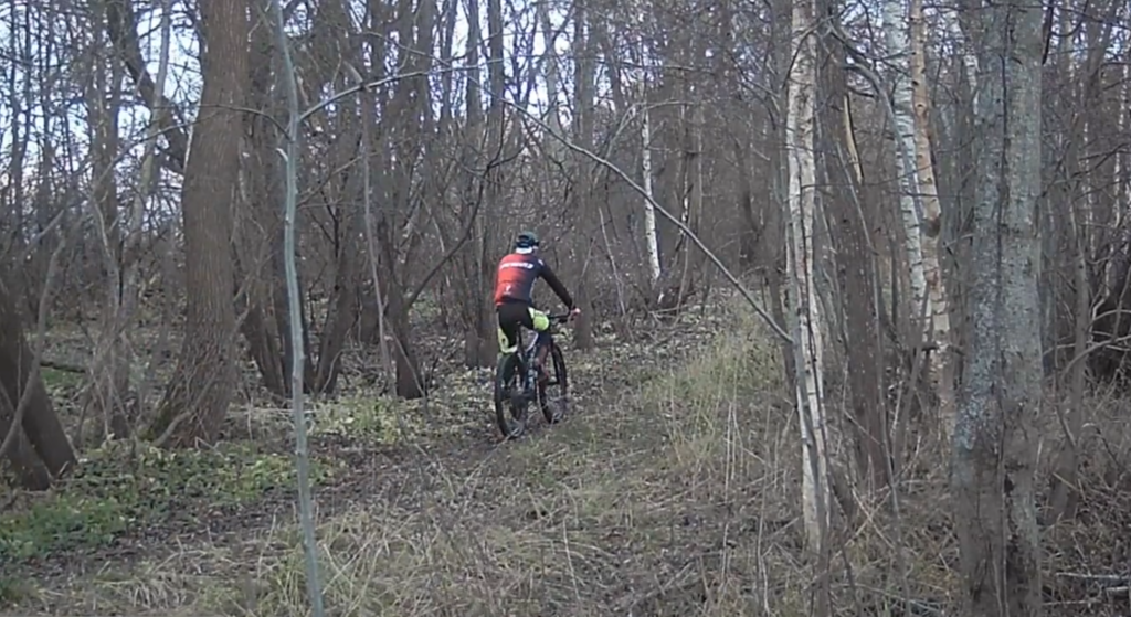 Creeping in the distance - The Tree Spy