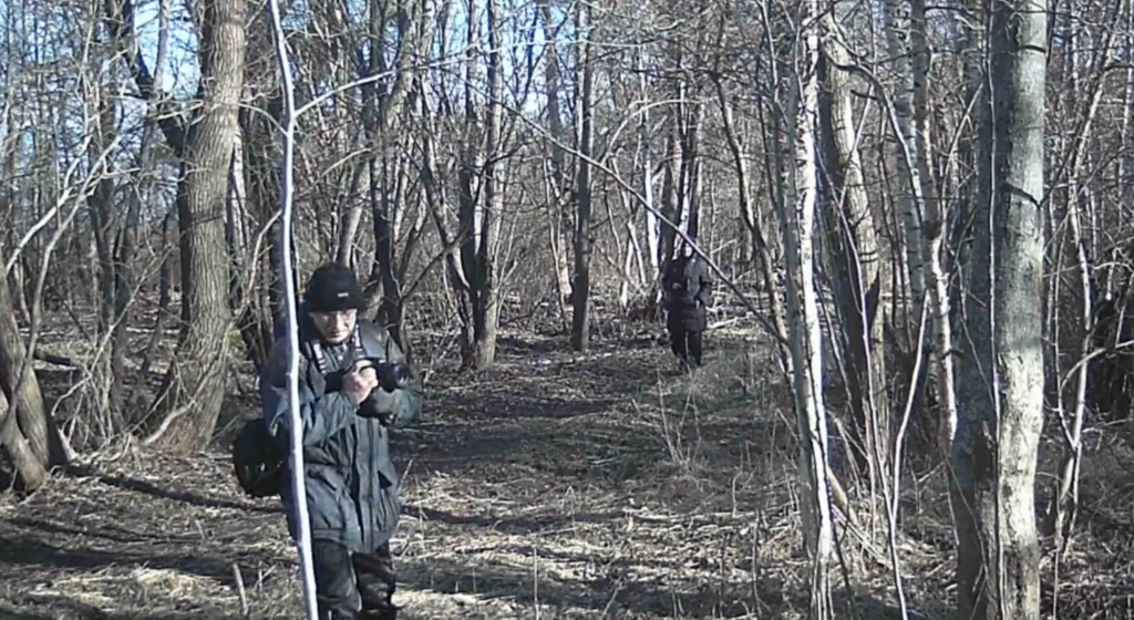 Spotting the bird watchers - The Tree Spy