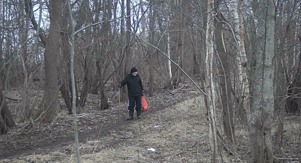 Pickers and more - The Tree Spy