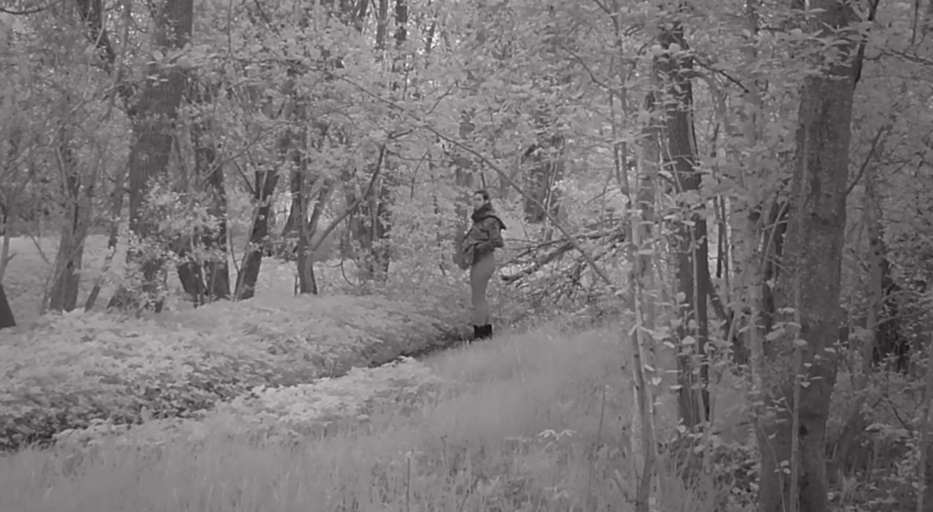 Busy Day At The Pee Trail The Tree Spy 2661