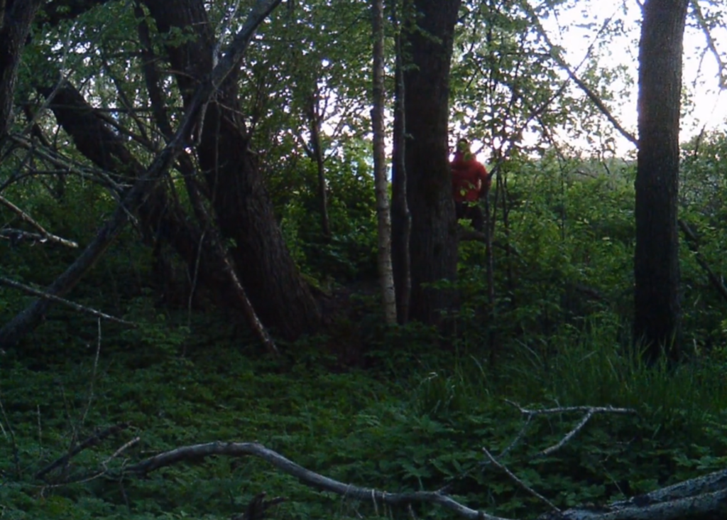 A few leaks near the pee trail - The Tree Spy