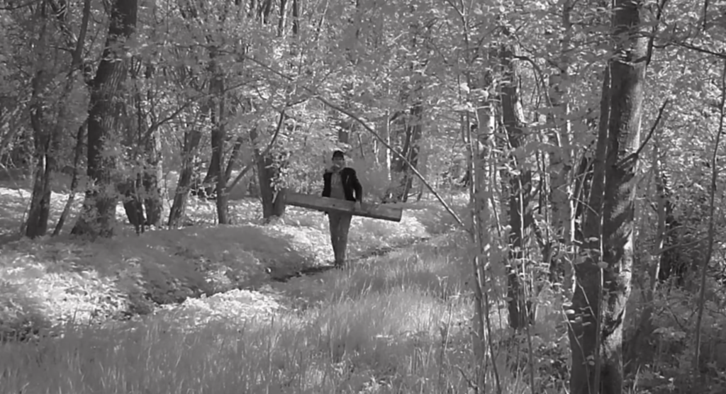 The original thief returns - The Tree Spy