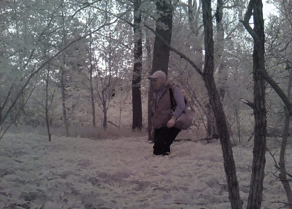 The scrap hunter - The Tree Spy