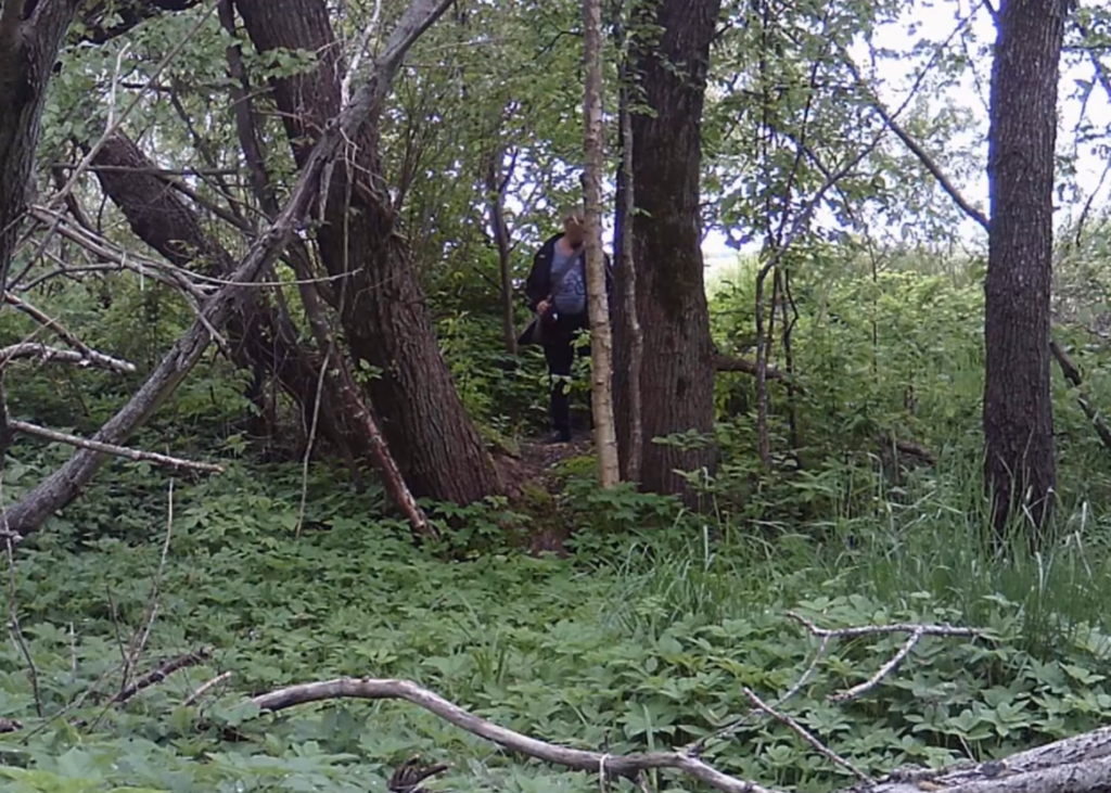 A little lurking around the trail - The Tree Spy