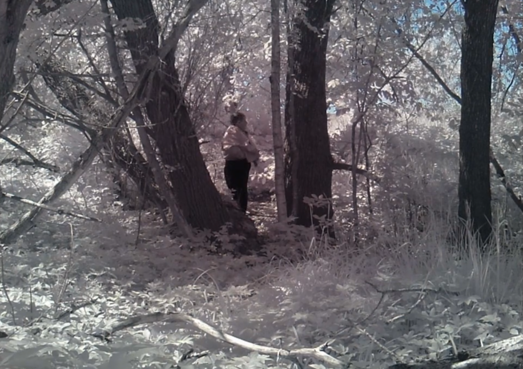 Running for cover with pants down - The Tree Spy