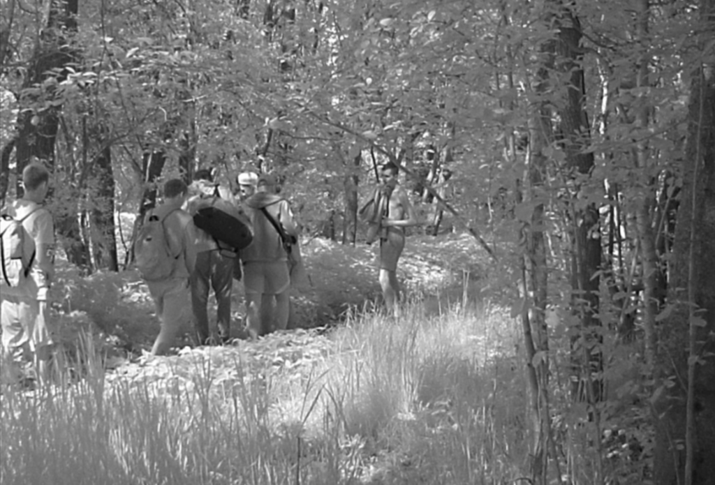 The gangs all here - The Tree Spy