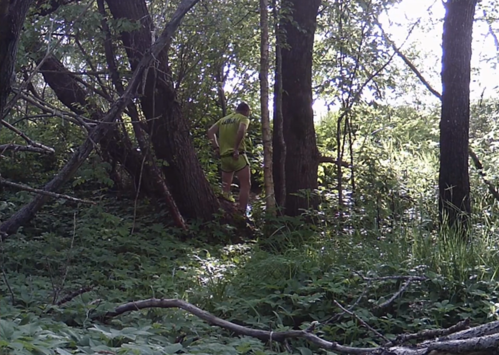 Dropping logs - The Tree Spy