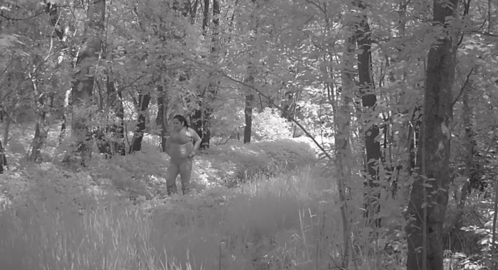 High and low squats everywhere - The Tree Spy