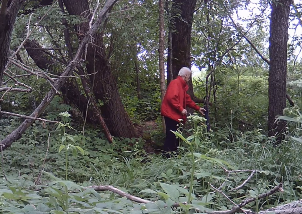 Dropping a log at the birdhouse - The Tree Spy