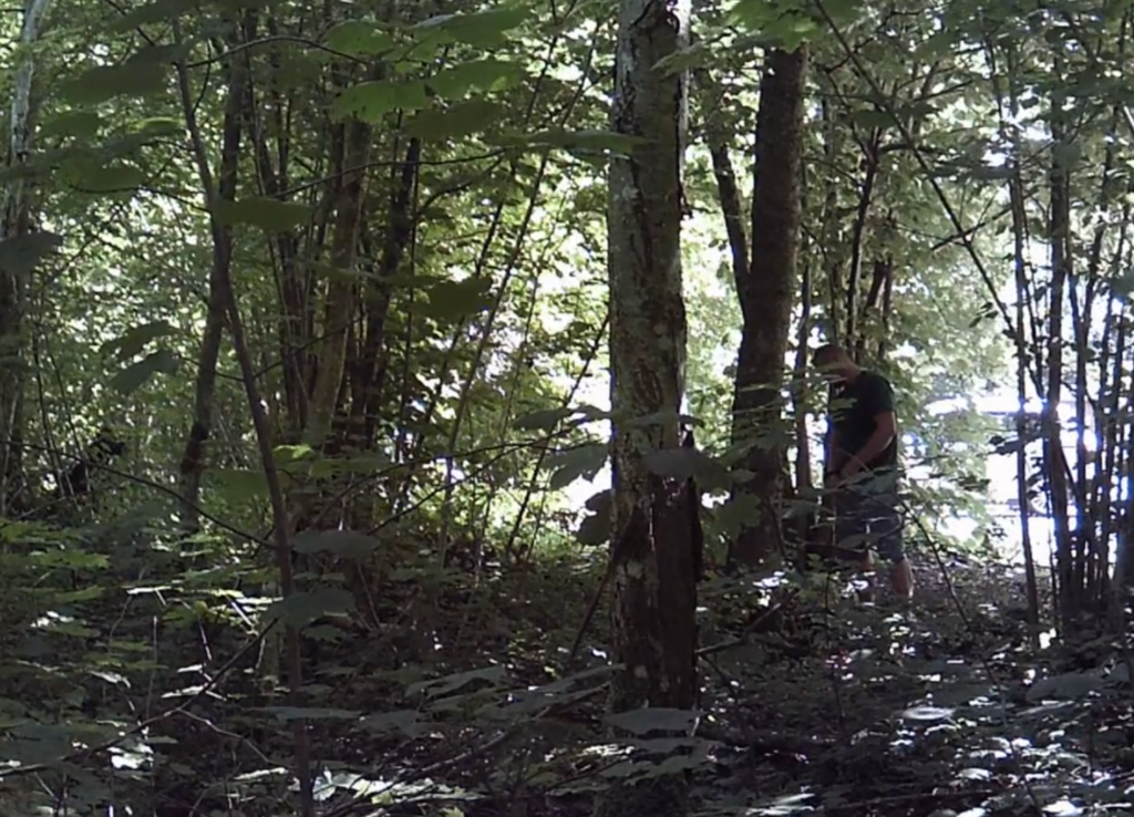 New view on the pee trail - The Tree Spy