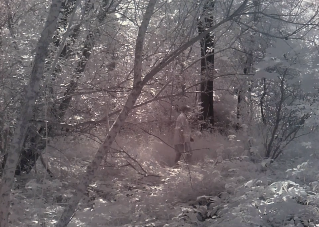 Man, don't forget to wipe - The Tree Spy