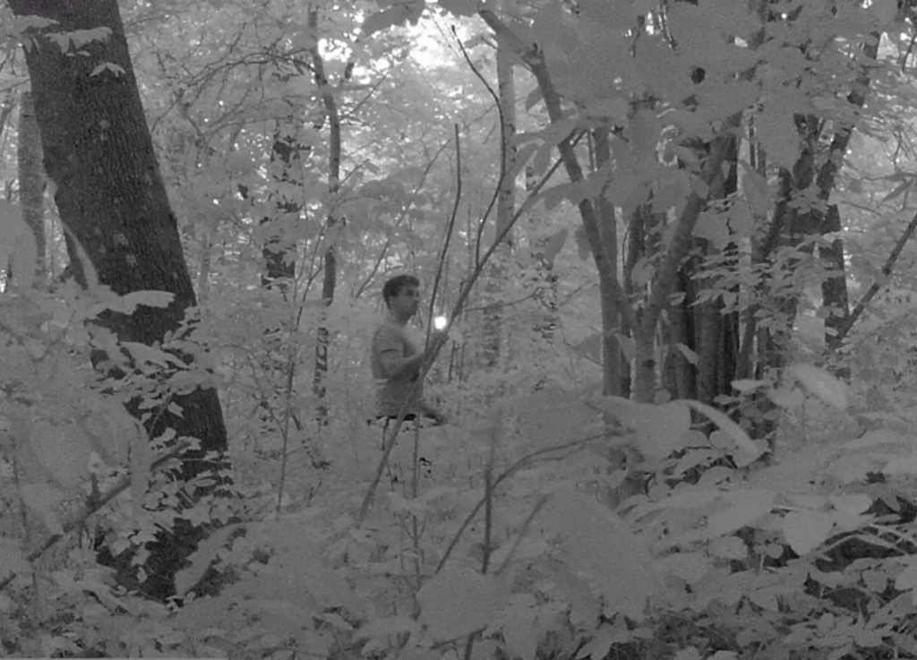 Just out of frame - The Tree Spy