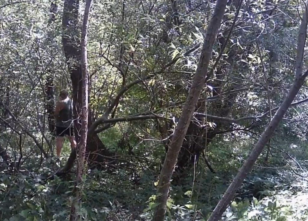 Many visitors caught at all locations - The Tree Spy