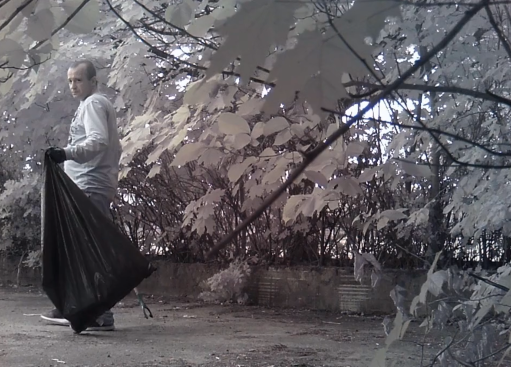 Litter patrol returns - The Tree Spy