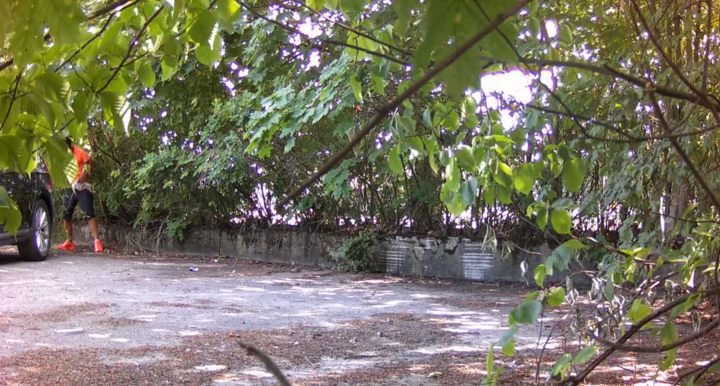 Just popping squats in the open - The Tree Spy