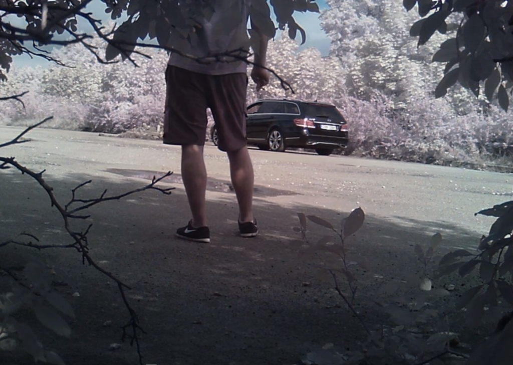 Just lurking around the beach lot - The Tree Spy