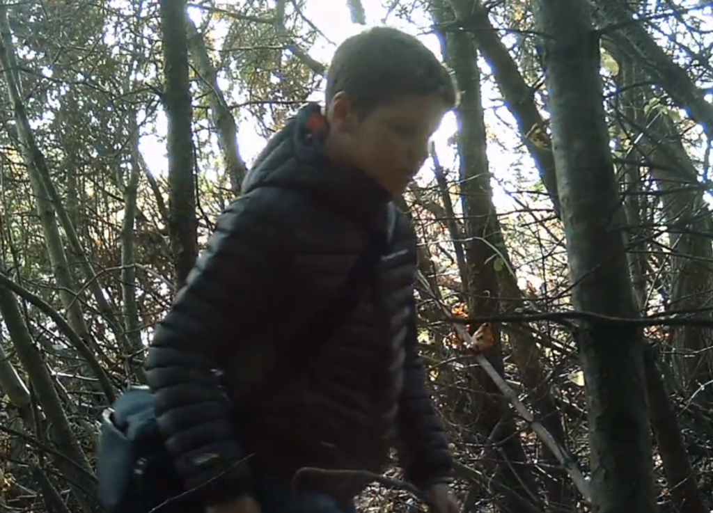 Camera spotted and more driver's education - The Tree Spy