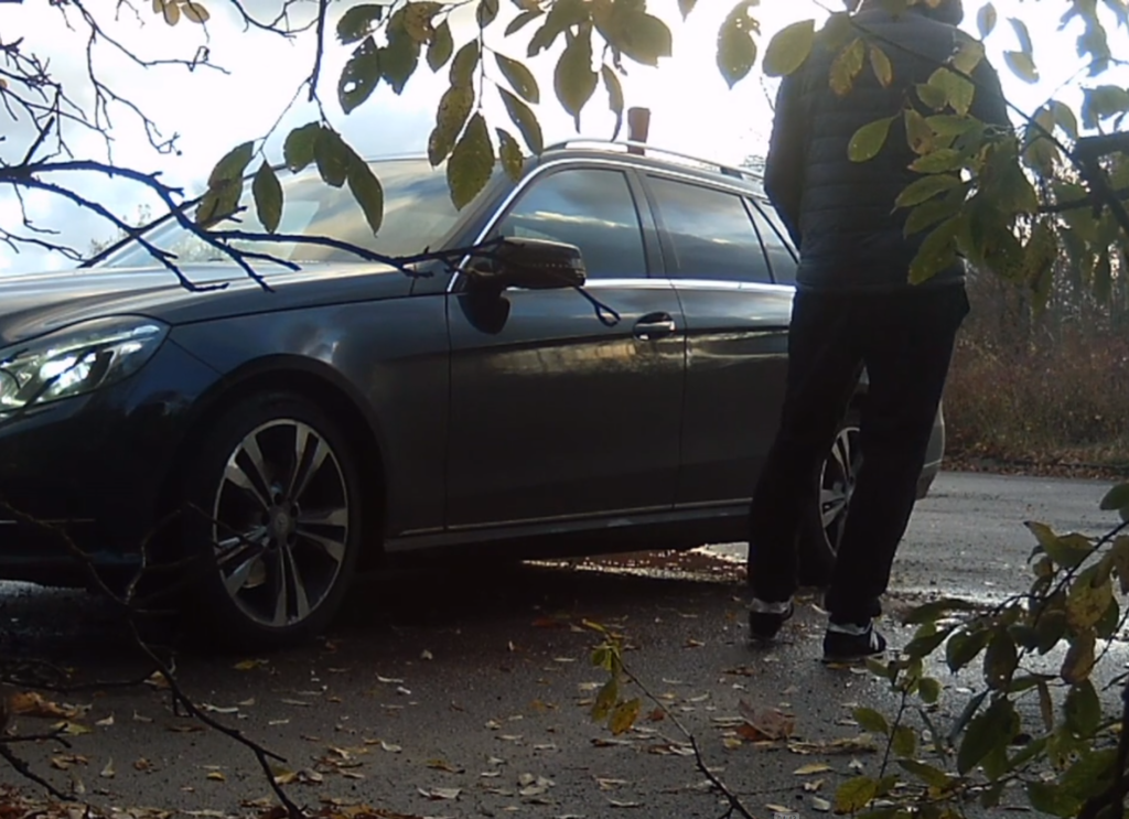 Mercedes man returns for the morning - The Tree Spy