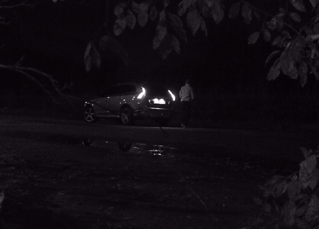Late night visit to the lot - The Tree Spy