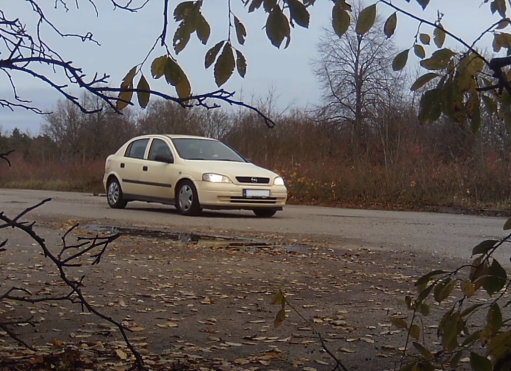 Driving practice at the beach lot - The Tree Spy