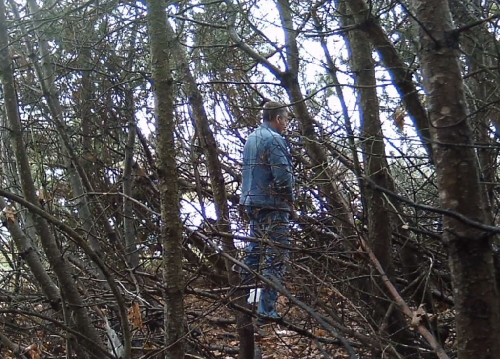 Men peeing in the rain - The Tree Spy