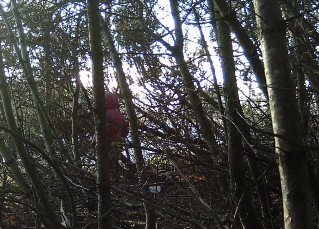 Two women in the trees and lovers in the lot - The Tree Spy