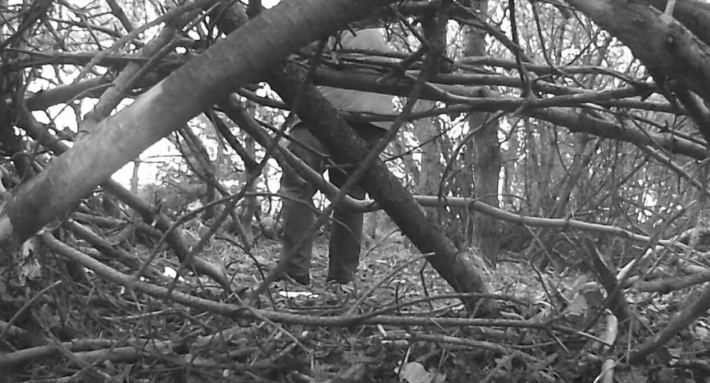 Soft flowing crap in the woods - The Tree Spy