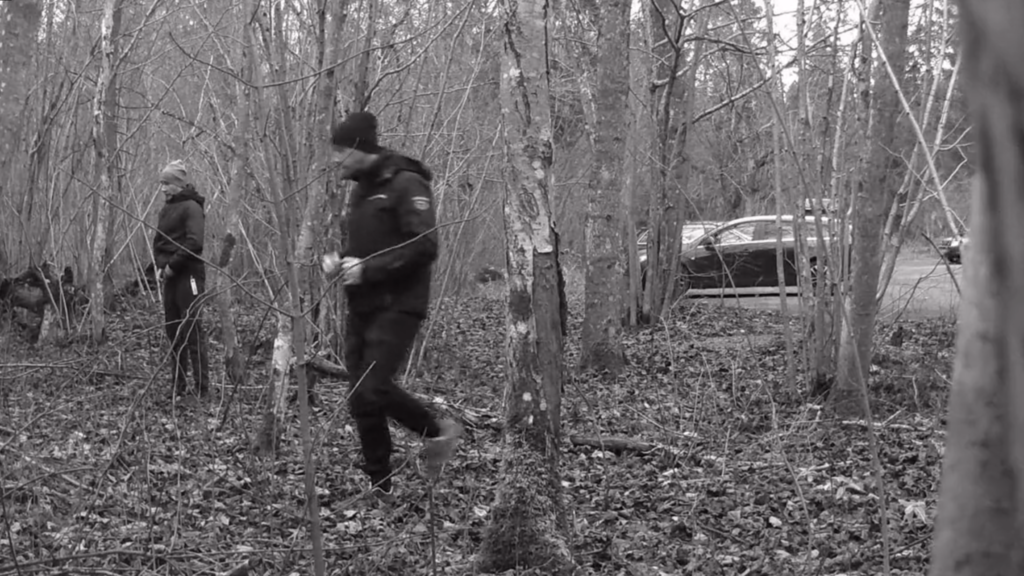 The Tree Spy - When the trees have eyes, who gets to watch?