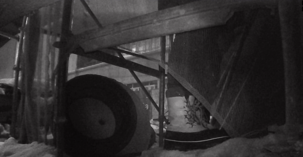 Men peeing at the construction site - The Tree Spy