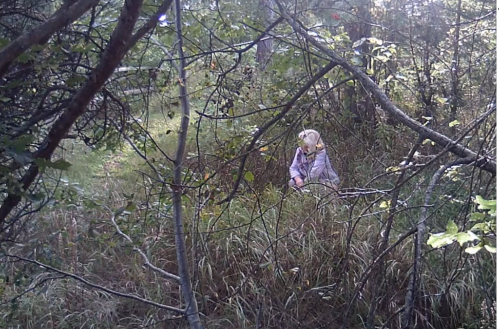 Several clear captures along the trail - The Tree Spy
