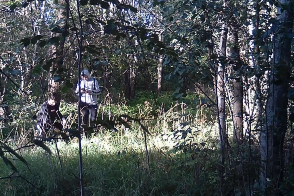What a relief... and a photoshoot? - The Tree Spy