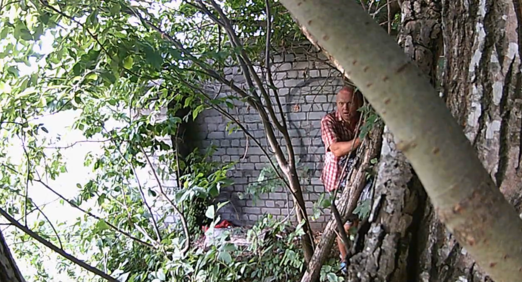 We have been spotted! - The Tree Spy