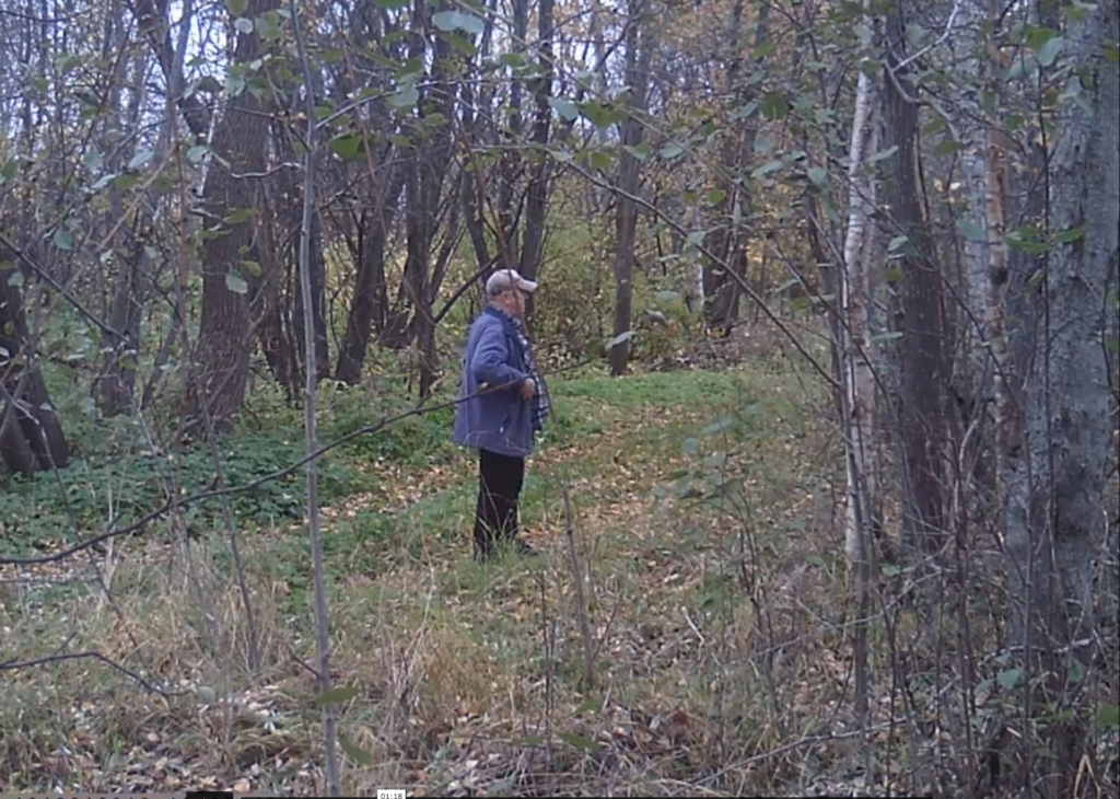 Inspecting his duty - The Tree Spy