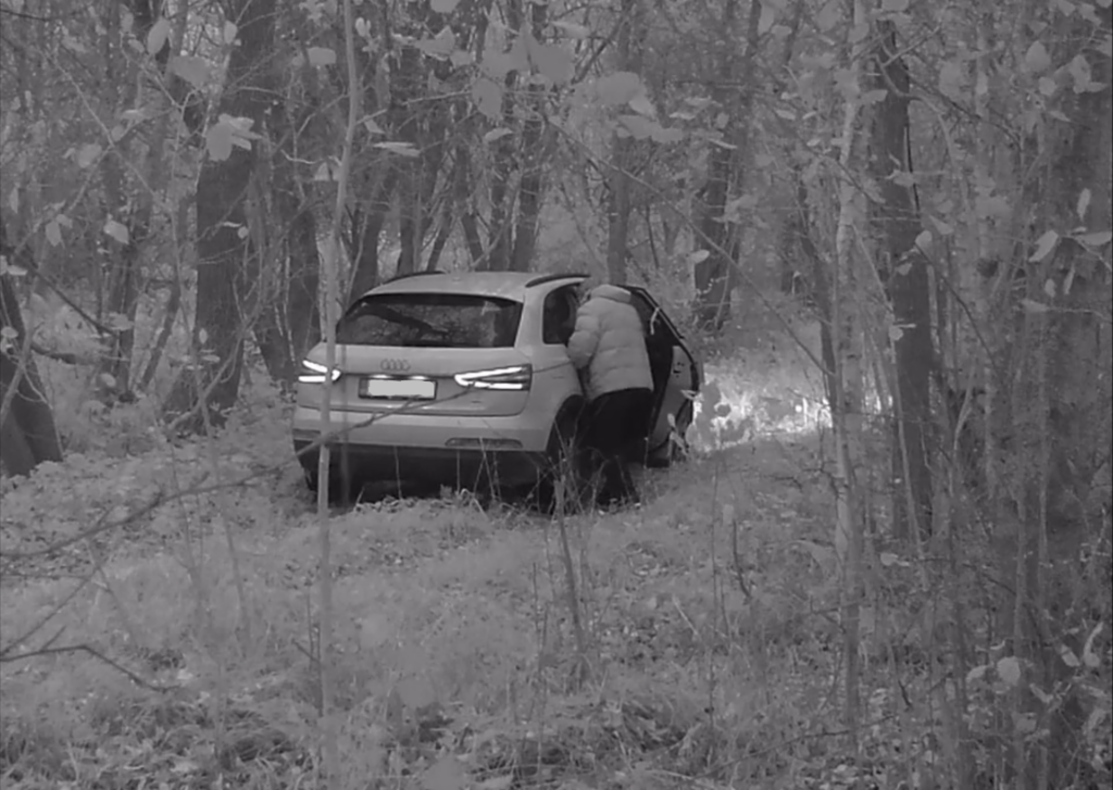 Audi in the woods - The Tree Spy