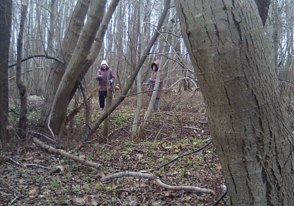 Did they see the camera? - The Tree Spy