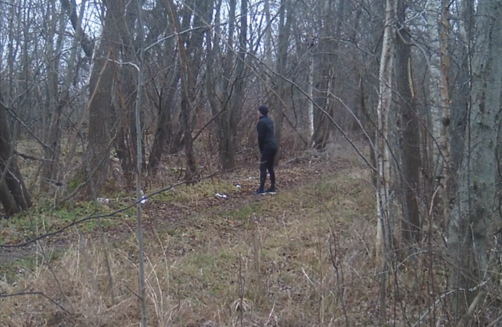 Men in the forest - The Tree Spy