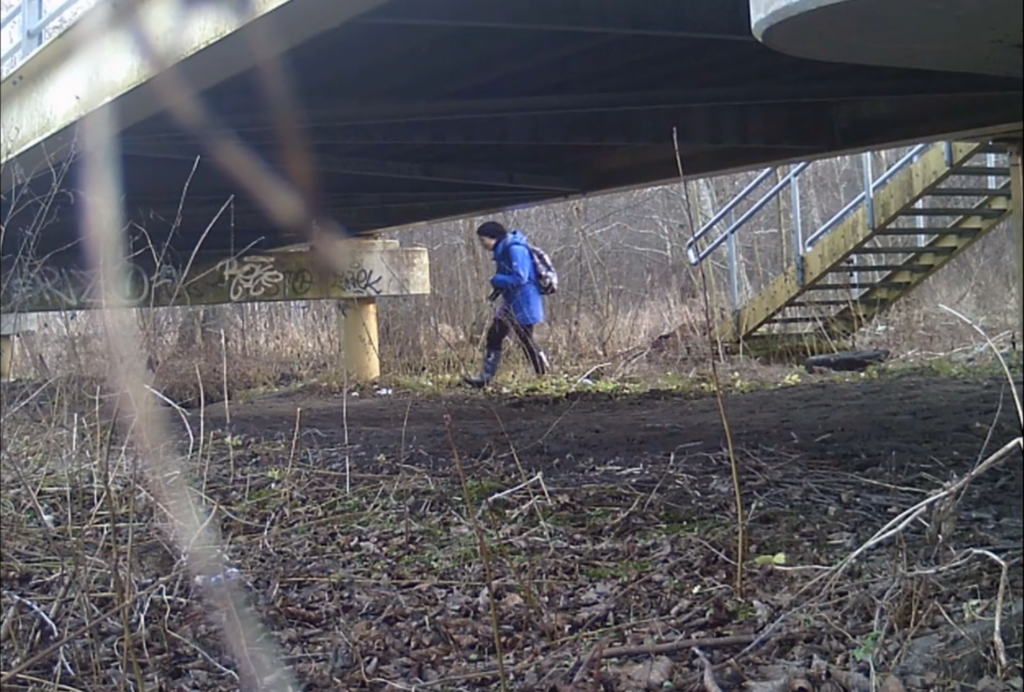 Lots of activity by the bridge - The Tree Spy
