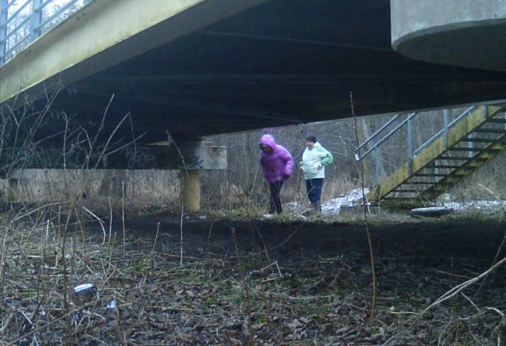 Under the bridge and down the pee trail - The Tree Spy