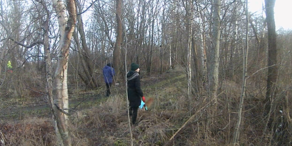 The search is on! - The Tree Spy