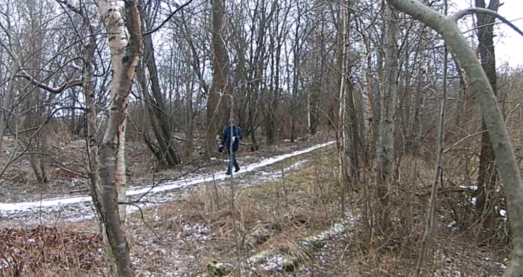 A light snow and fresh tracks, who stopped by? - The Tree Spy