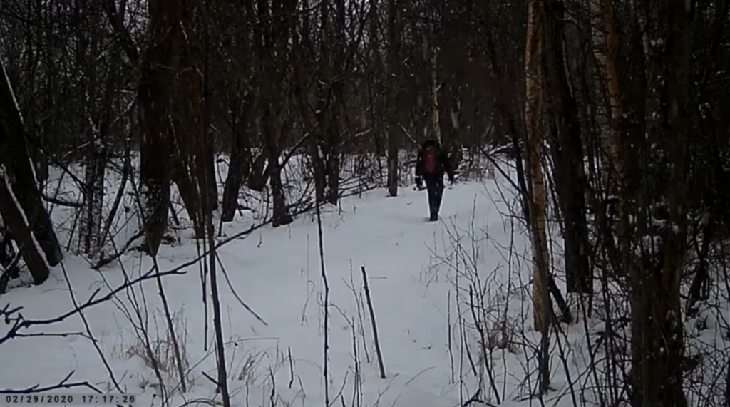 Leap day activity - The Tree Spy