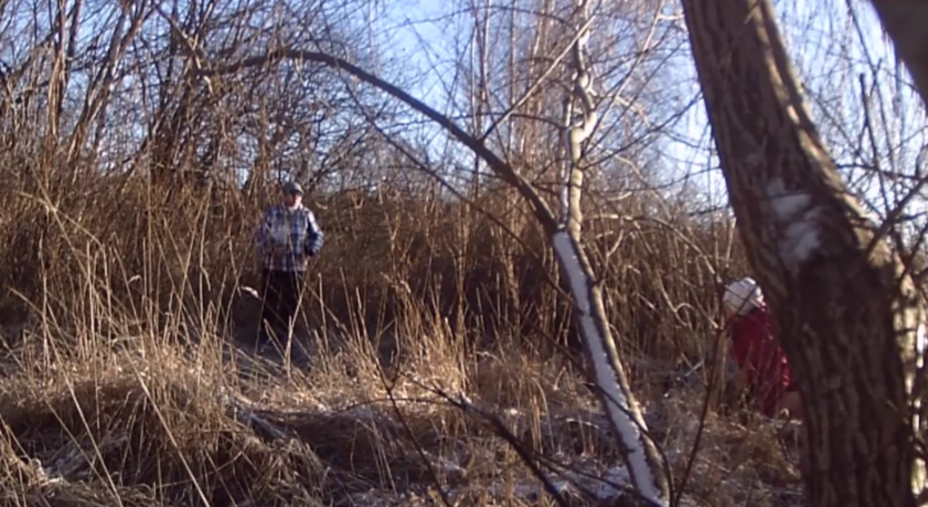 Action at the large pipe and meadow - The Tree Spy