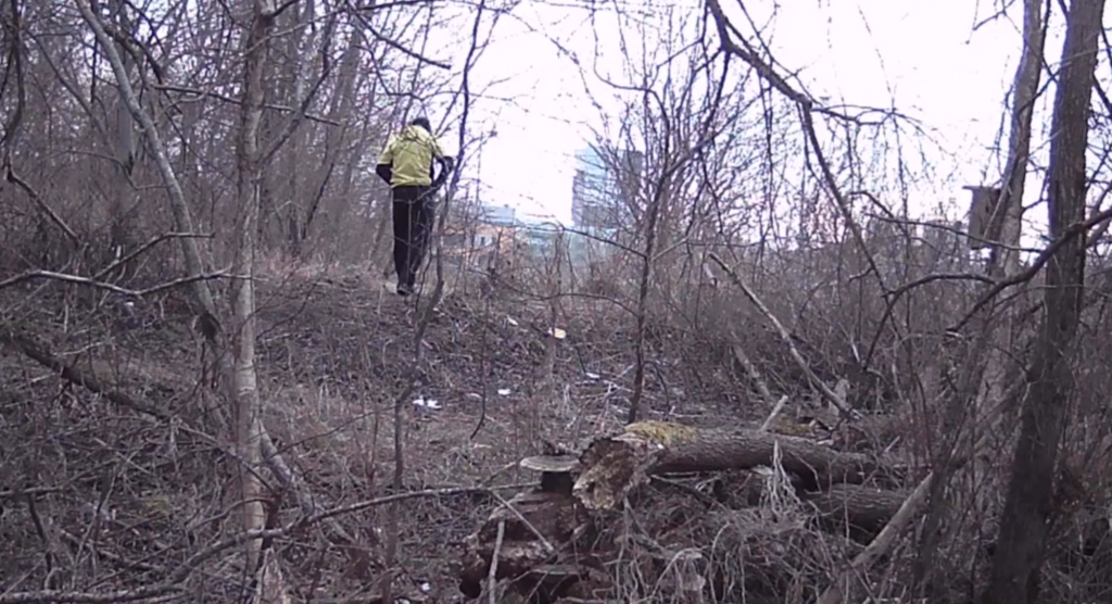 Diving for cover! - The Tree Spy