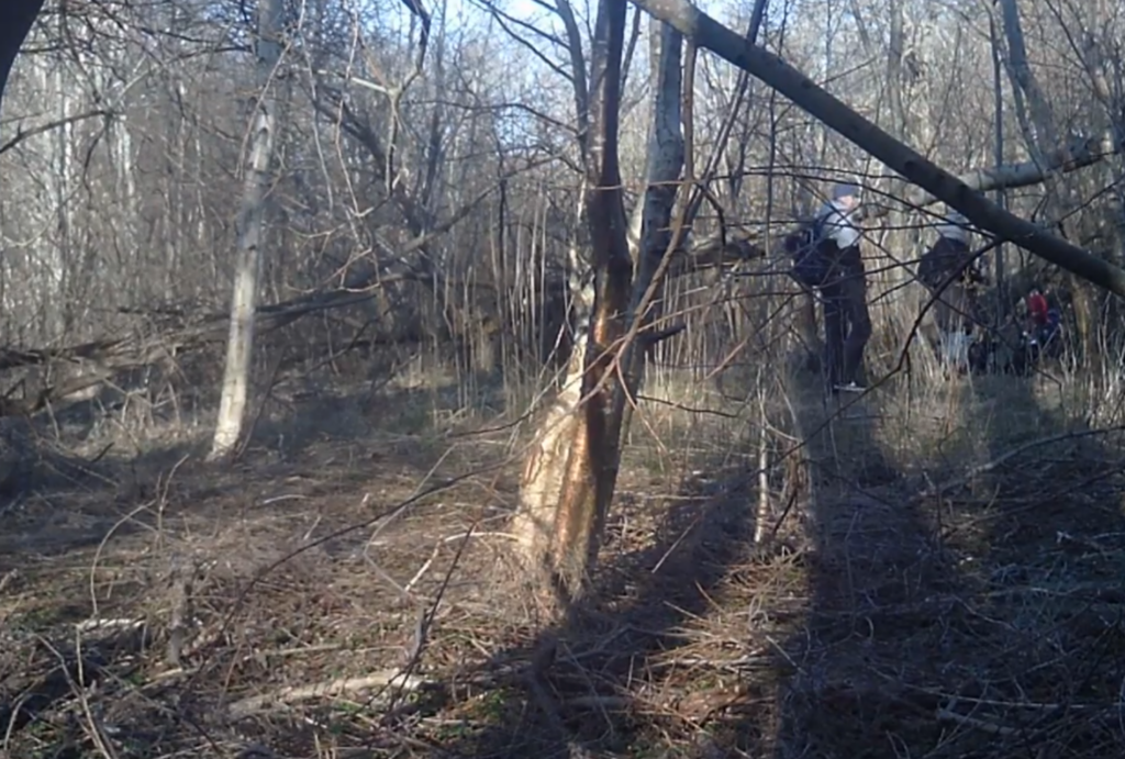 Family Picnic down the pee trail - The Tree Spy