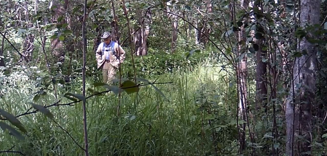 A couple of ladies and a man on an adventure - The Tree Spy