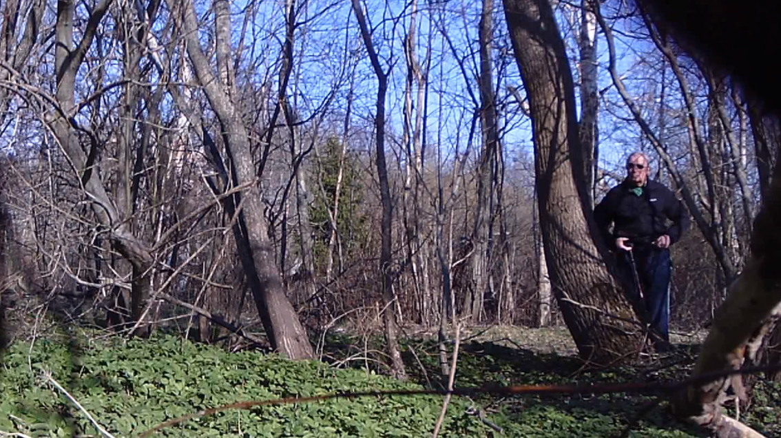 Waving his willy - The Tree Spy